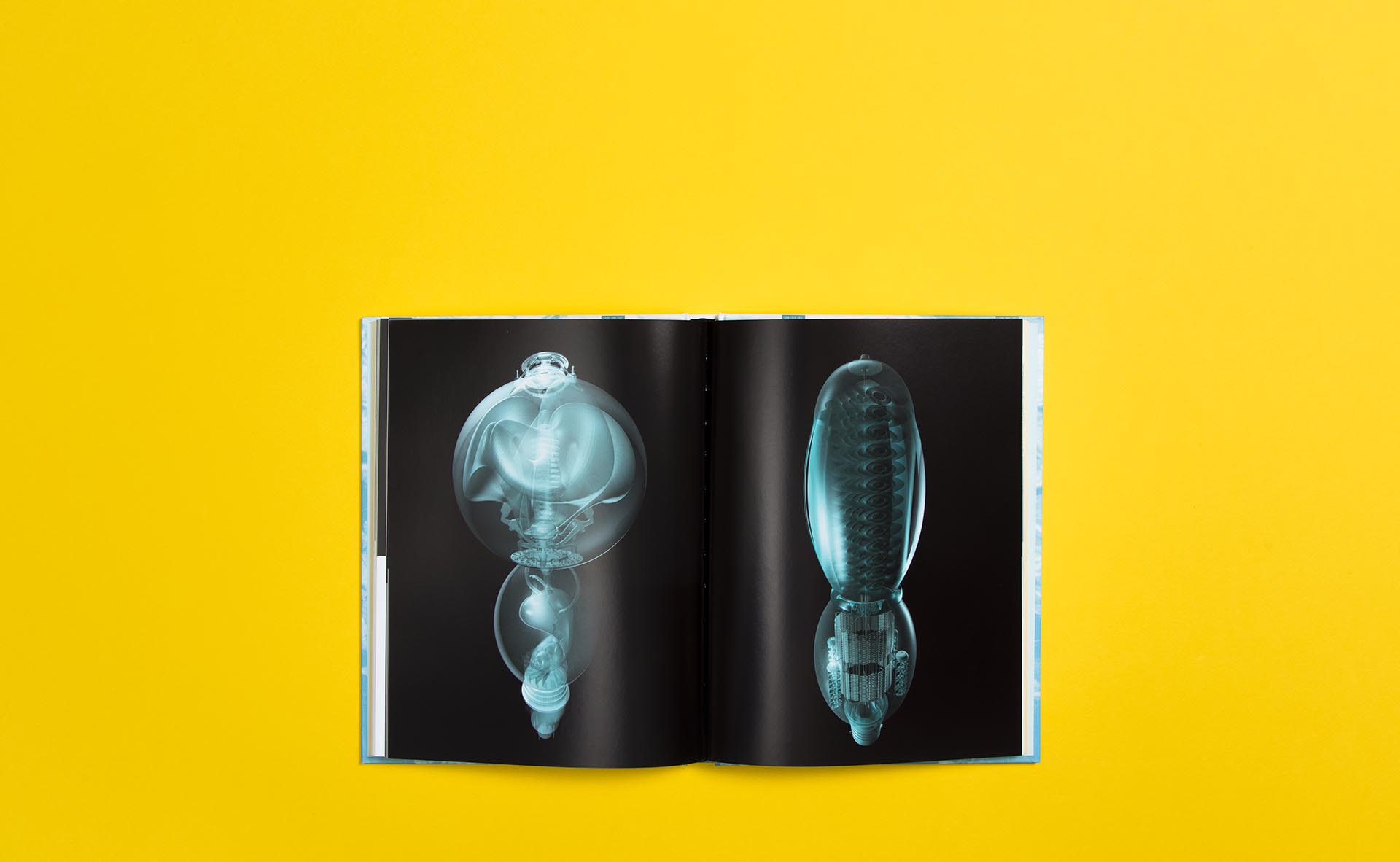 Pascal Broccolichi - villa arson nice