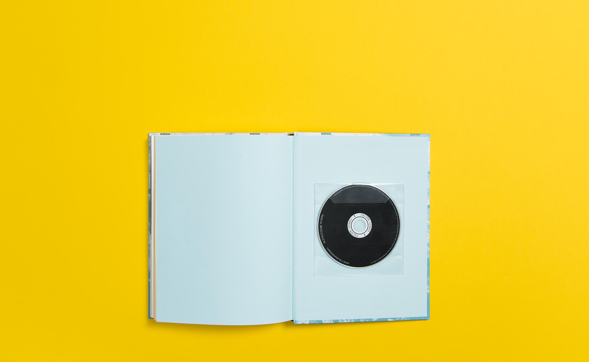 Pascal Broccolichi - villa arson nice