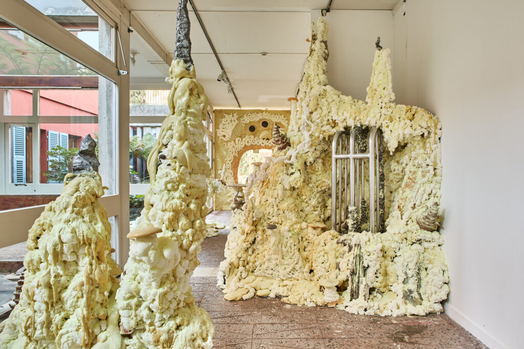 Nelson Pernisco - Monts intérieurs d’un monde analogue