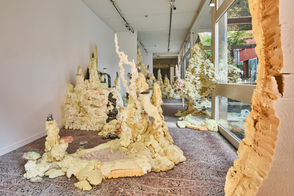 Nelson Pernisco - Monts intérieurs d’un monde analogue